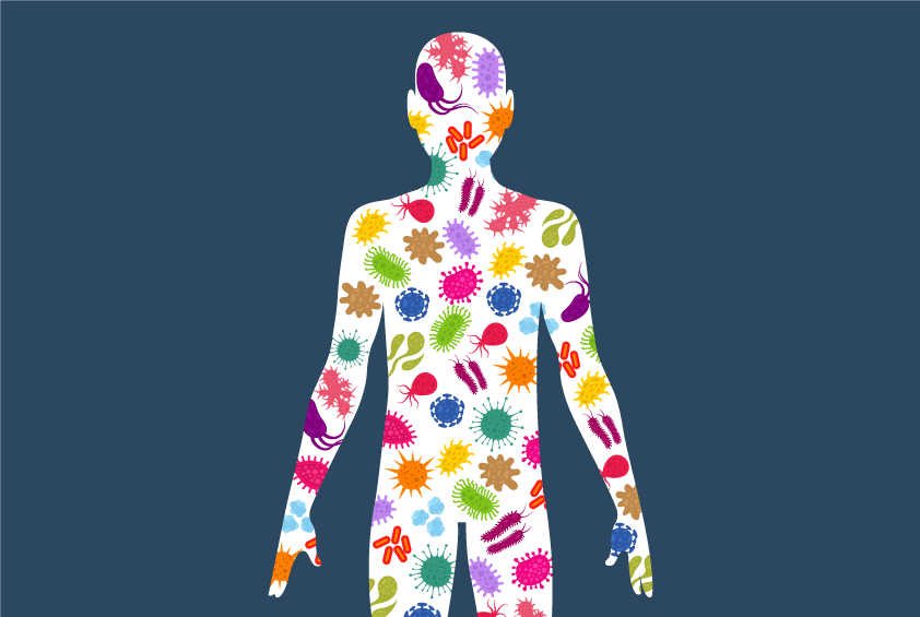 PHO Talks: Antibiotics and the Zoo Living in You – Bradley Langford ...