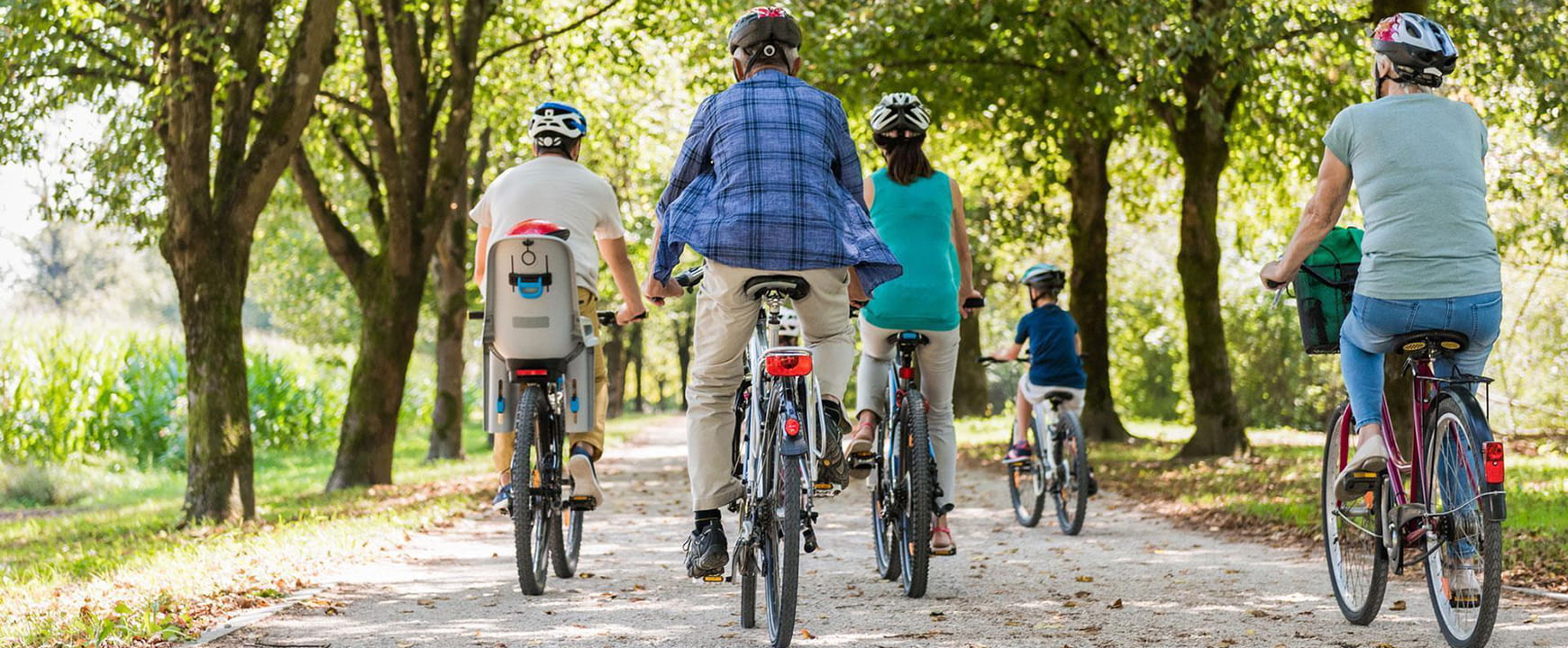 Chronic Diseases and Conditions | Public Health Ontario