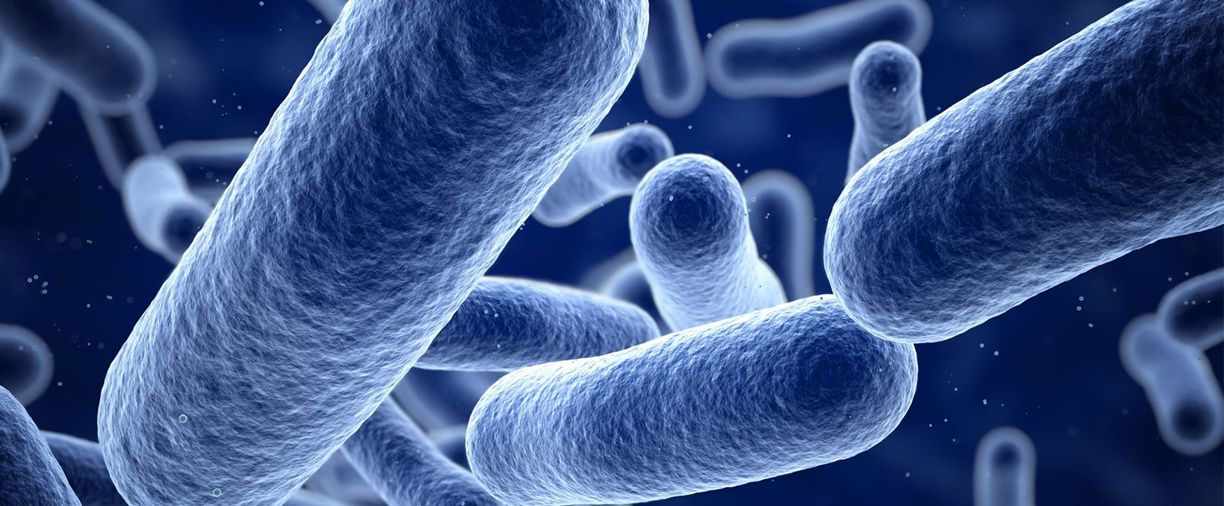 Infectious Diseases | Public Health Ontario